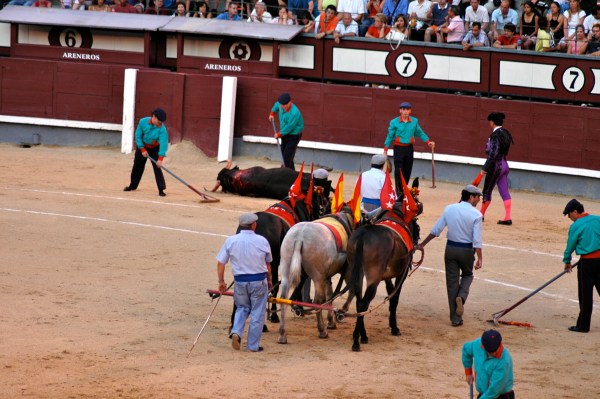 Las Ventas, Madri: entre o espetáculo e a dor de uma tourada - Um ...