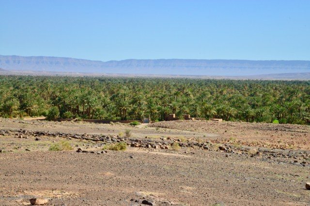 O OÁSIS DO DRAA - Um Pouquinho de Cada Lugar